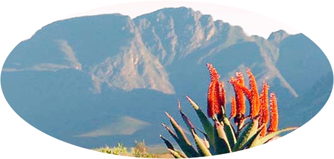 WAAR IS ALBERTINIA? – Hessequa Nuus / News